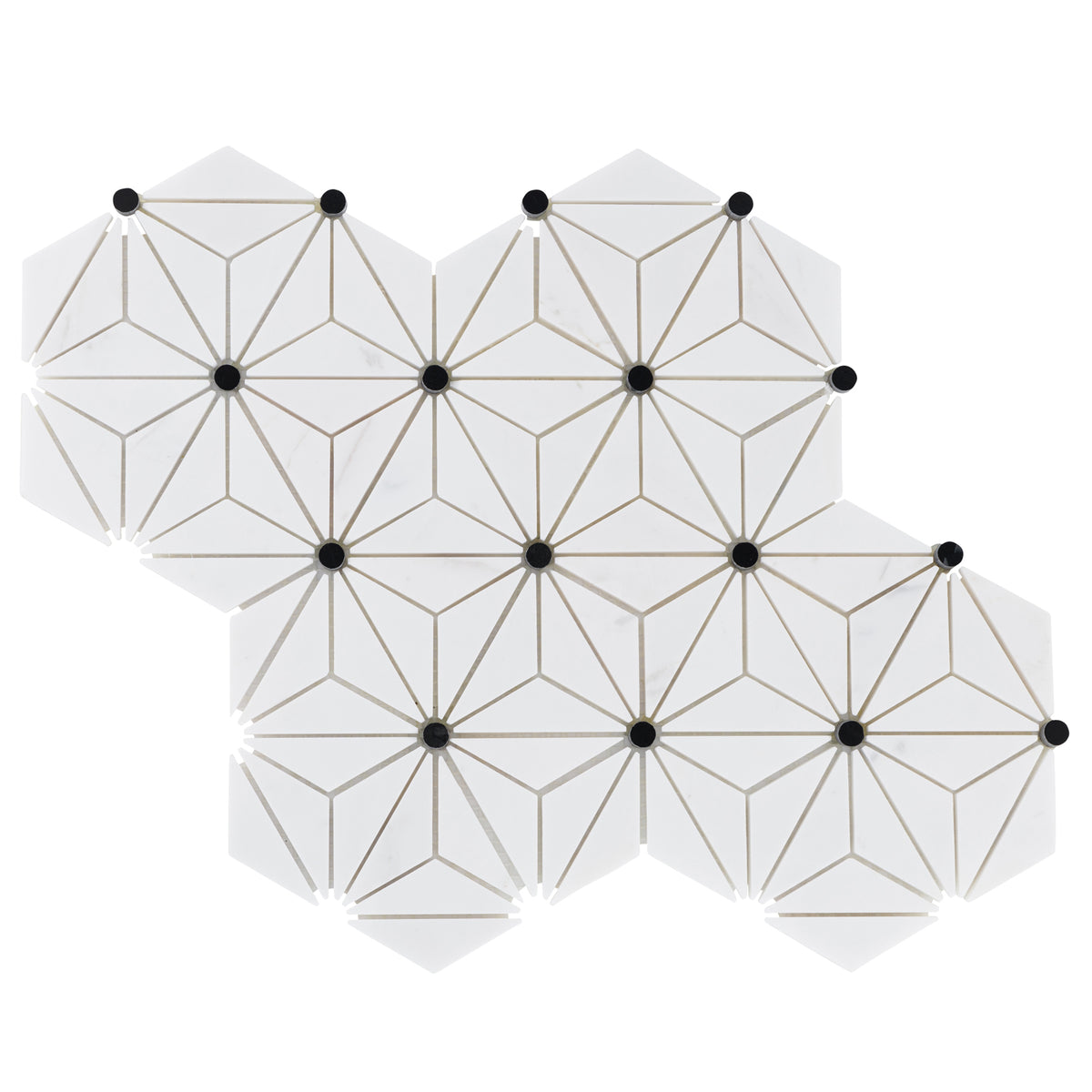 T22609 – Mondora